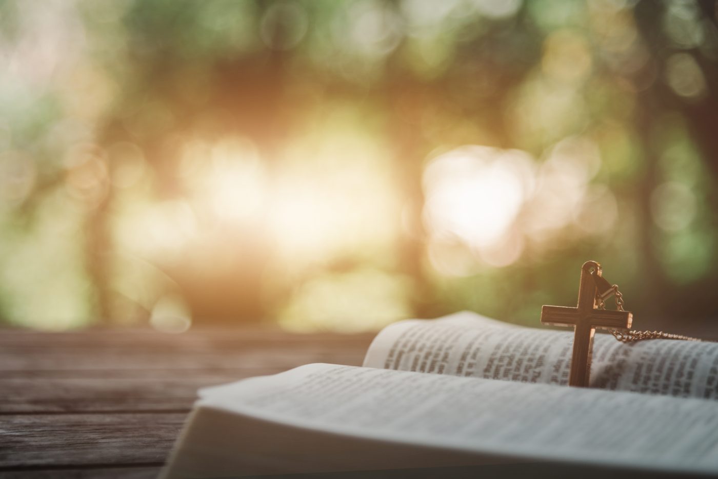 How The Biblical Principle Of Investing Works - PAX Financial Group