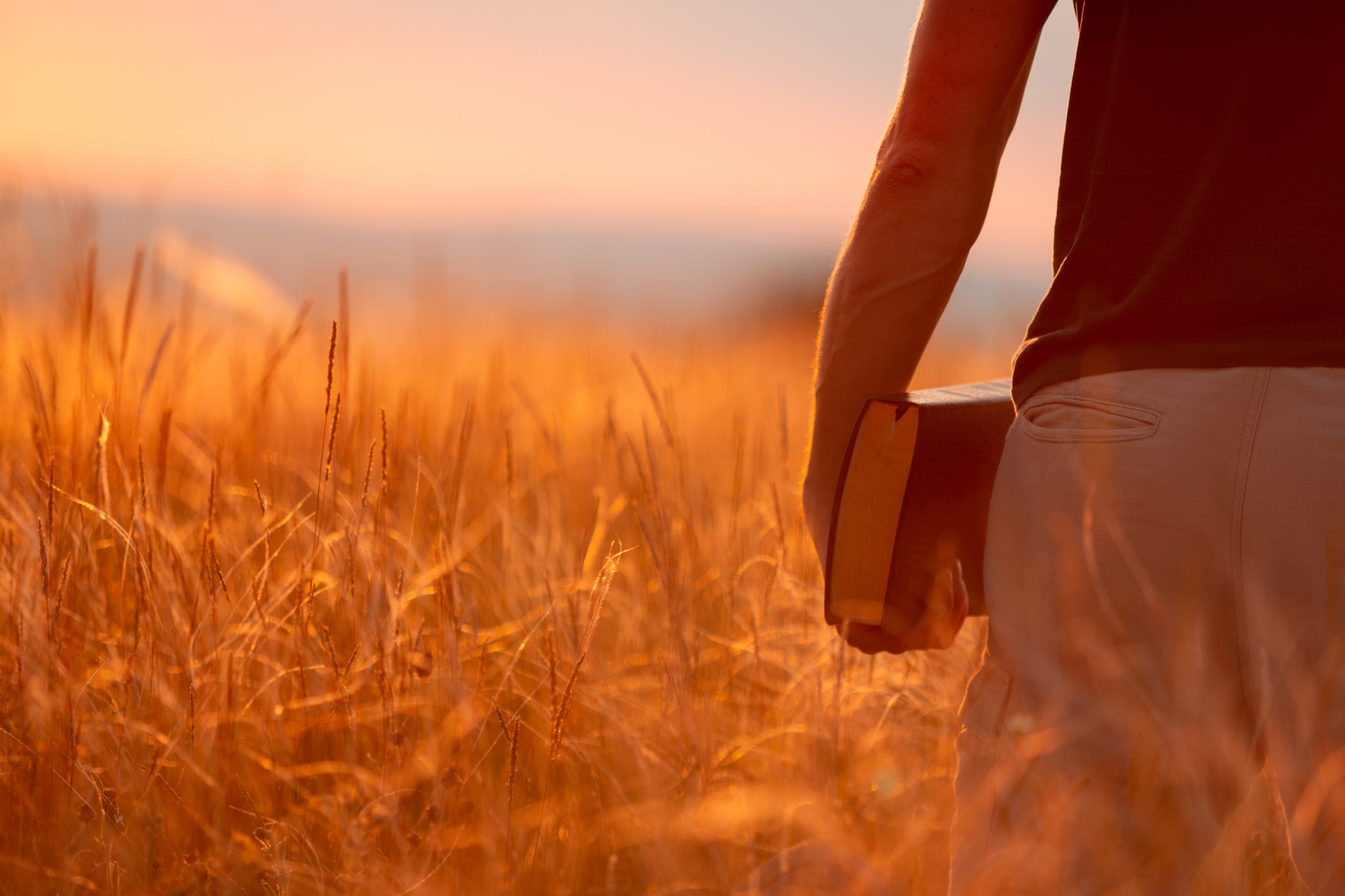 What Is Biblical Responsible Investing? Part II - PAX Financial Group